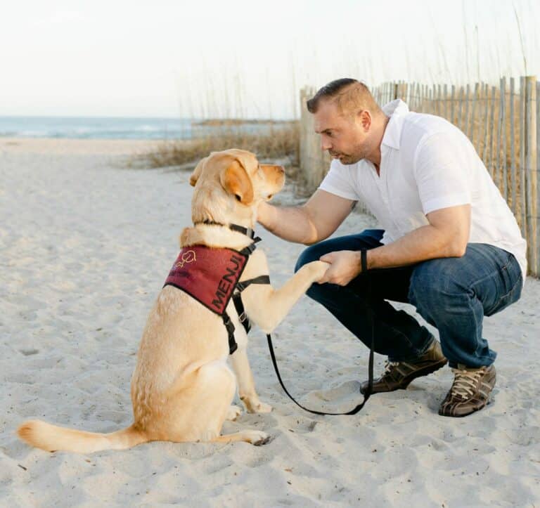 How to Get a Service Dog | paws4people® Assistance Dog Placement