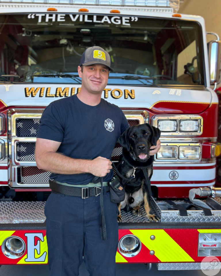 Firefighter Adam Molinelli & LONDON - paws4people / ADDIE's Way ...